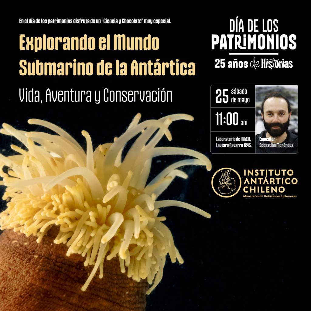 En Punta Arenas y Santiago: Con despliegue en dos regiones el INACH ...