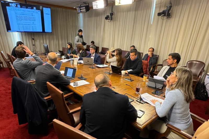 Megaincendio: Comisión Investigadora aprueba informe final y concluye que “negligencias” de ...